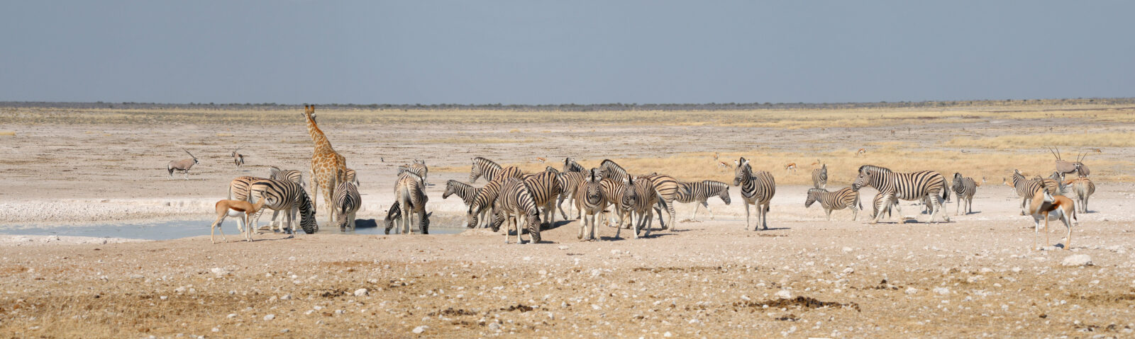 Heritage & culture - Junita's Extreme Adventures Namibia